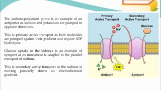 Movement of Molecules across Cell Membranes.pptx