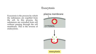 Movement of Molecules across Cell Membranes#2 | PPTX