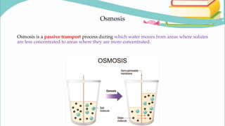 Movement of Molecules across Cell Membranes#2 | PPTX | Biological ...