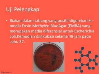 mikrobiologi pewarnaan bakteri e-coli.potx