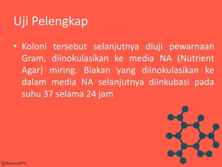 mikrobiologi pewarnaan bakteri e-coli.potx