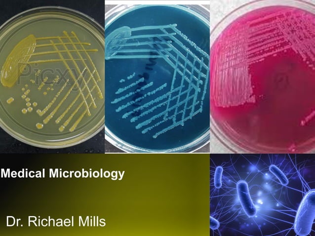 E. Coli of clinical importance medical microbiology | PPT