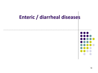 E. Coli of clinical importance medical microbiology | PPT