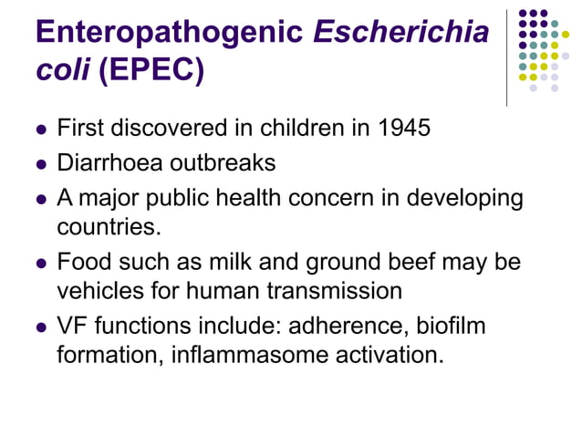 E. Coli of clinical importance medical microbiology | PPT