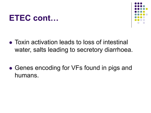 E. Coli of clinical importance medical microbiology | PPT