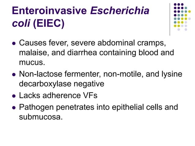E. Coli of clinical importance medical microbiology | PPT