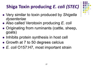 E. Coli of clinical importance medical microbiology | PPT