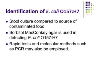 E. Coli of clinical importance medical microbiology | PPT