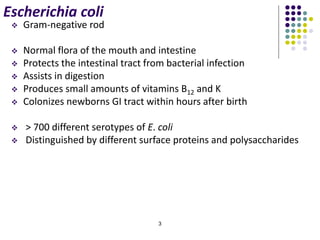 E. Coli of clinical importance medical microbiology | PPT