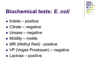 E. Coli of clinical importance medical microbiology | PPT