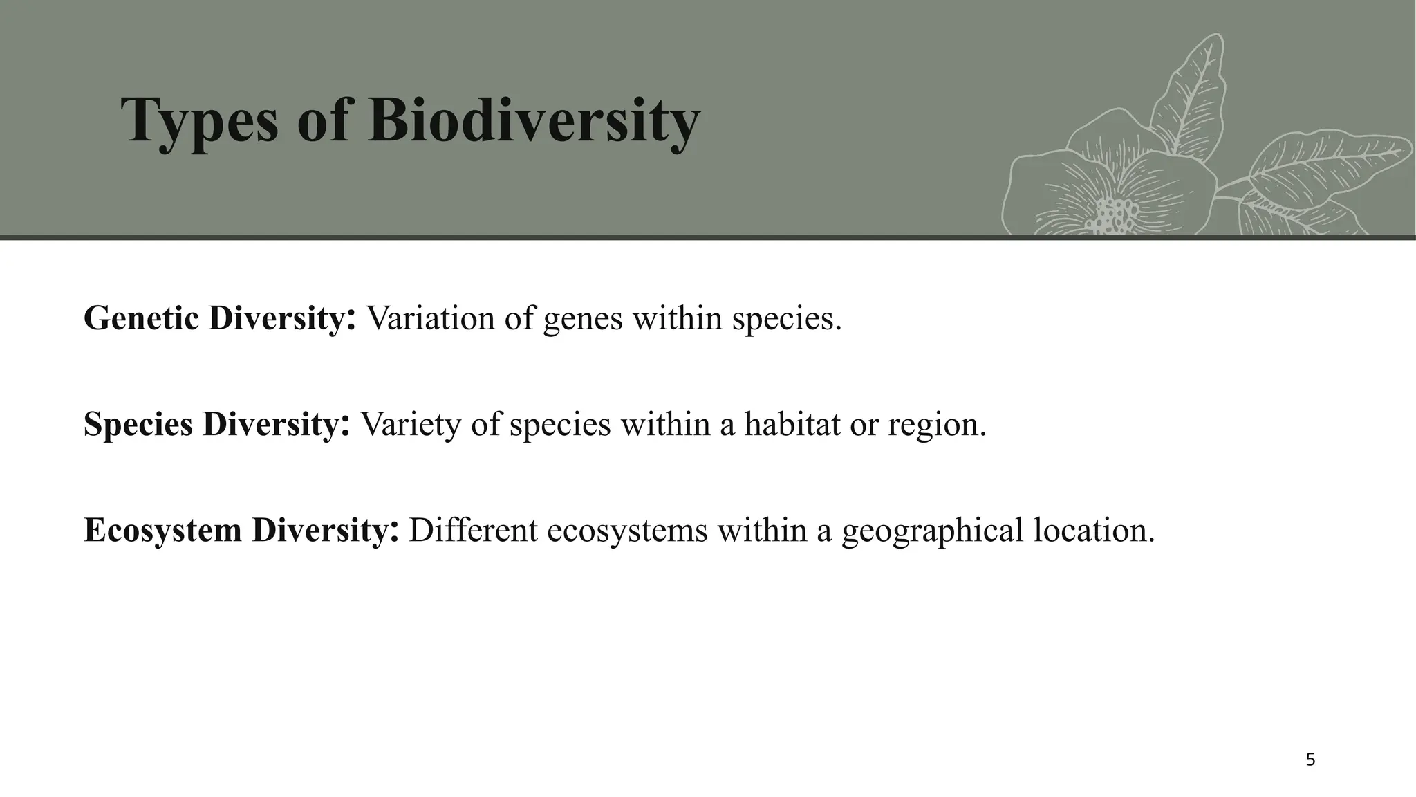 Environmental Studies Biodiversity | PPTX