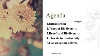 Environmental Studies Biodiversity | PPTX
