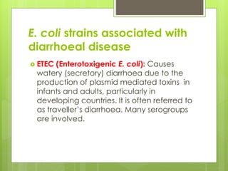 E.coli.pdf bacteria classification various | PDF