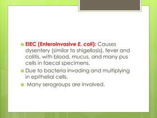 E.coli.pdf bacteria classification various | PDF