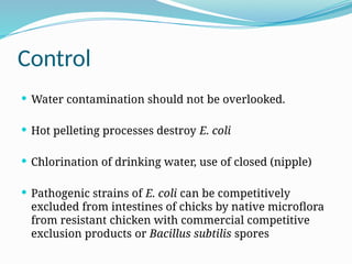 E.Coli Presentation on Escherichia Coli in Poultry | PPTX