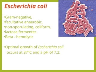 Escherichia Coli powerpoint on virulence and characteristics | PPTX