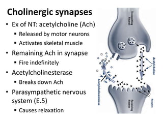 E.4 presentation | PPTX