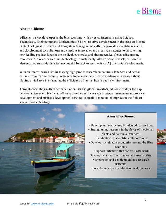 Keeping Your Brain Active- e-Biome Activity Book | PDF