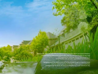 Rockwell South at Carmelray | PDF