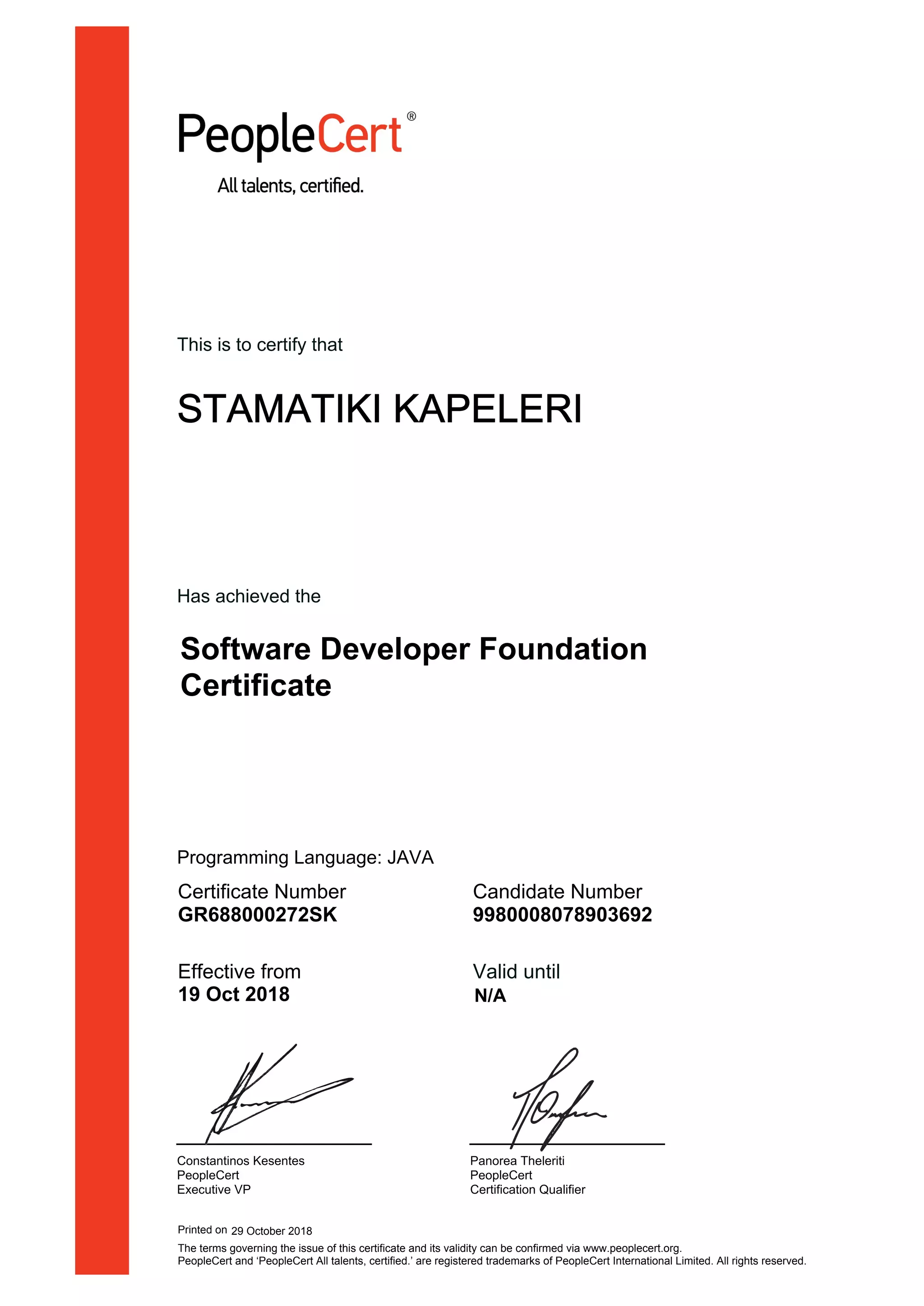 Software Developer Foundation Certificate | PDF