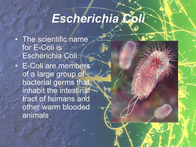 E-Coli.ppt