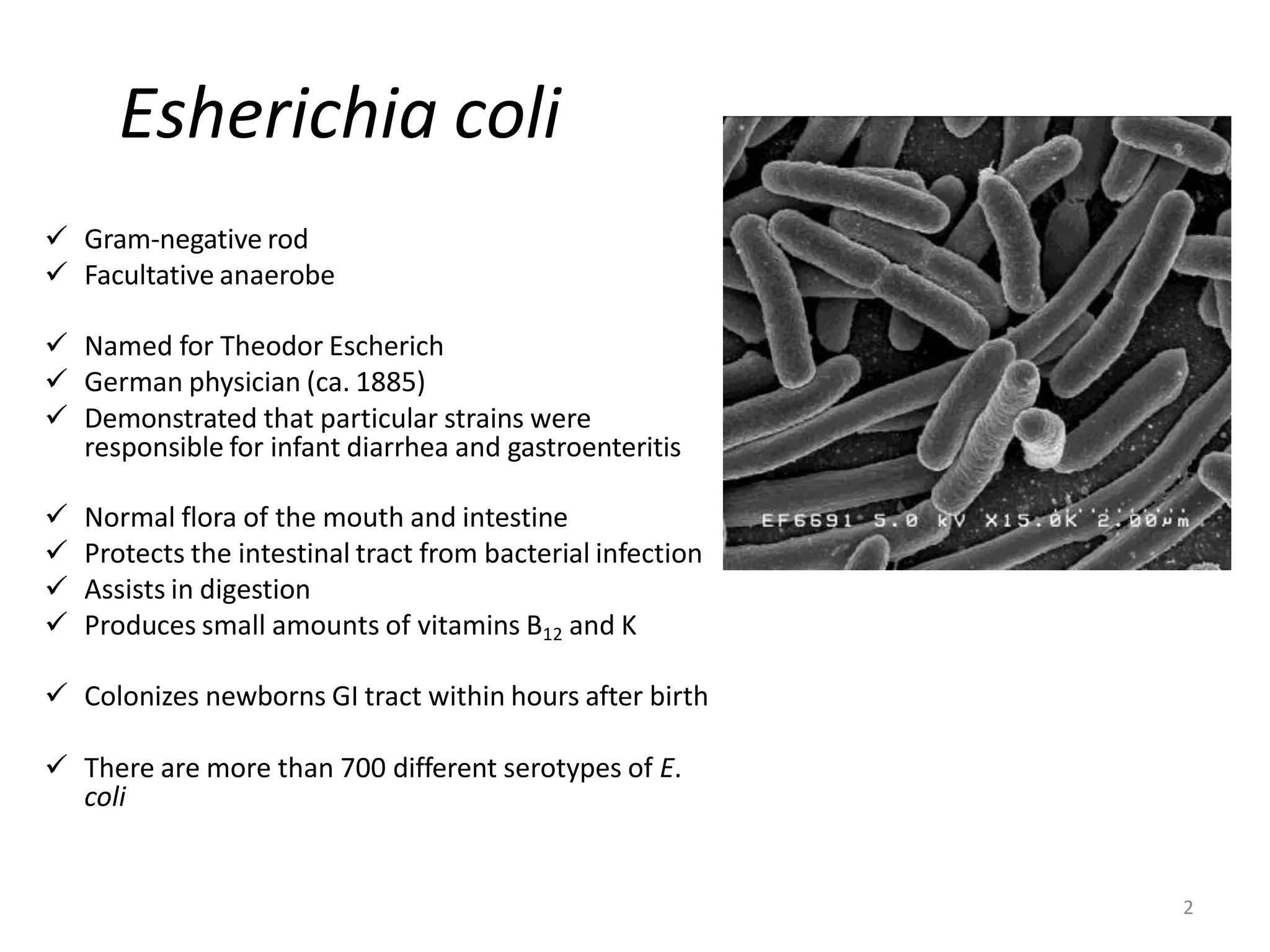 e-coli-presentation1-150519165248-lva1-app6892.pptx | Infectious ...