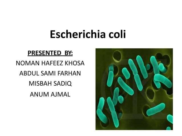 e-coli-presentation1-150519165248-lva1-app6892.pptx | Infectious Diseases | Diseases and Conditions