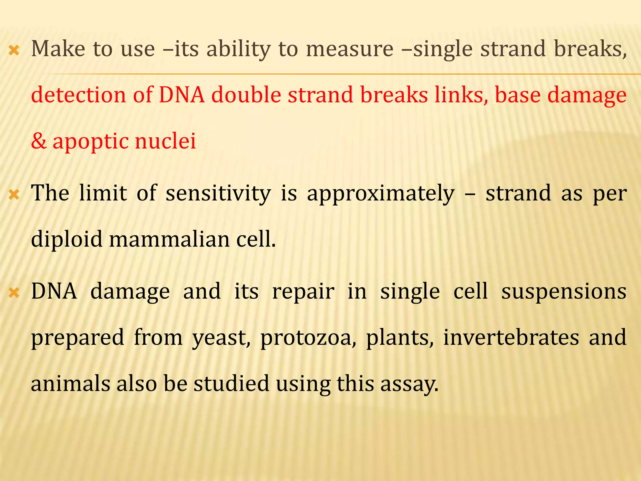 E comet assay | PPTX