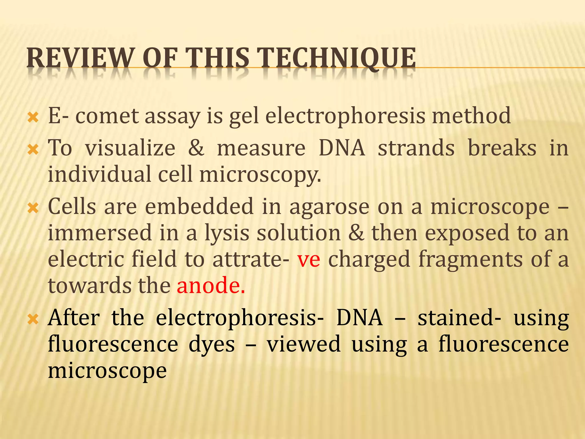 E comet assay | PPTX