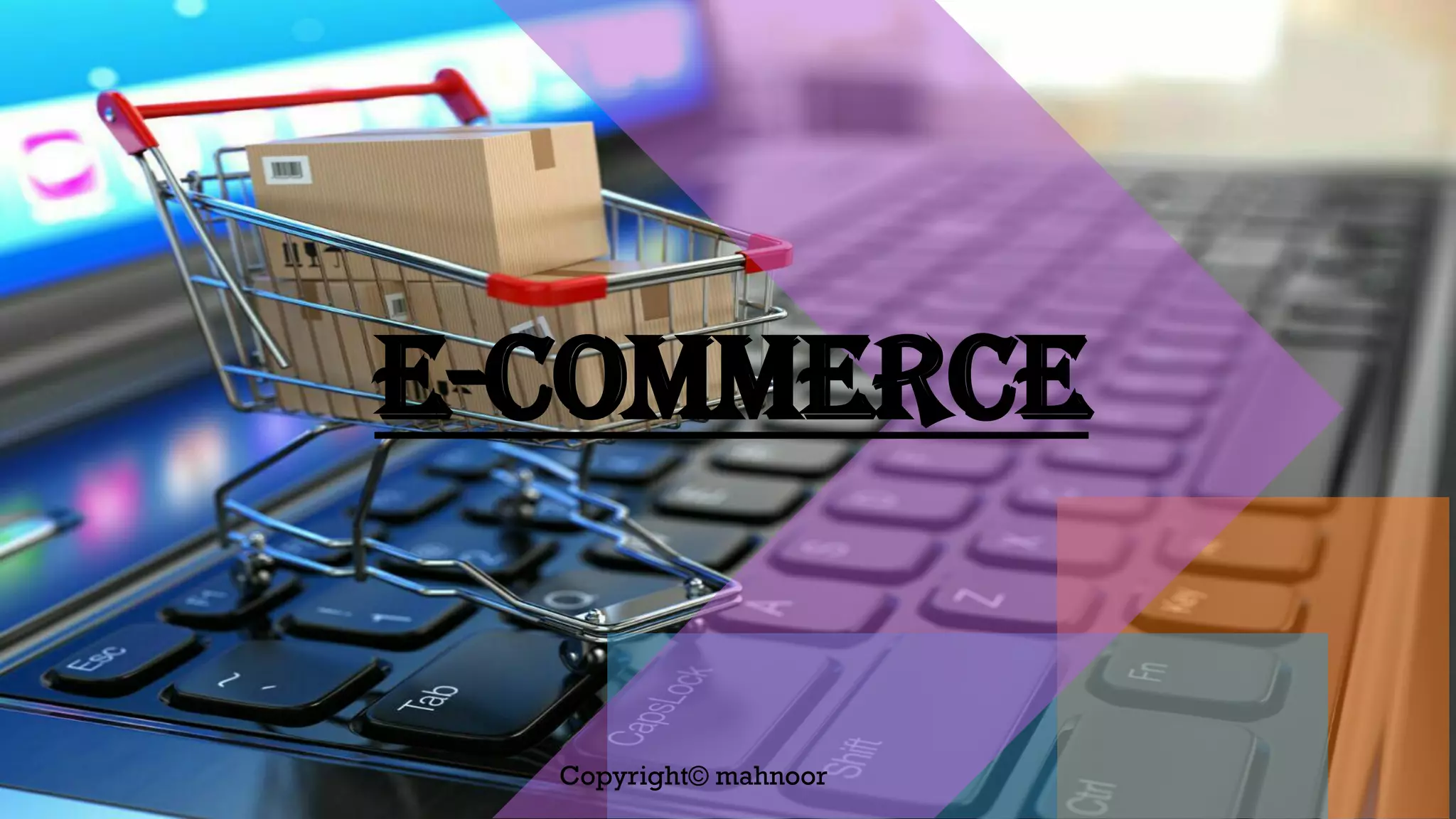 E commerce | PDF | Internet | Computing