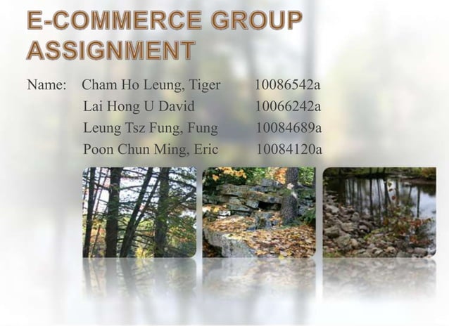 E commerce group assignment | PPTX | Internet | Computing