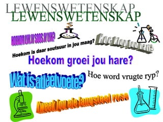 Graad 9 Vakkeuses | PPS