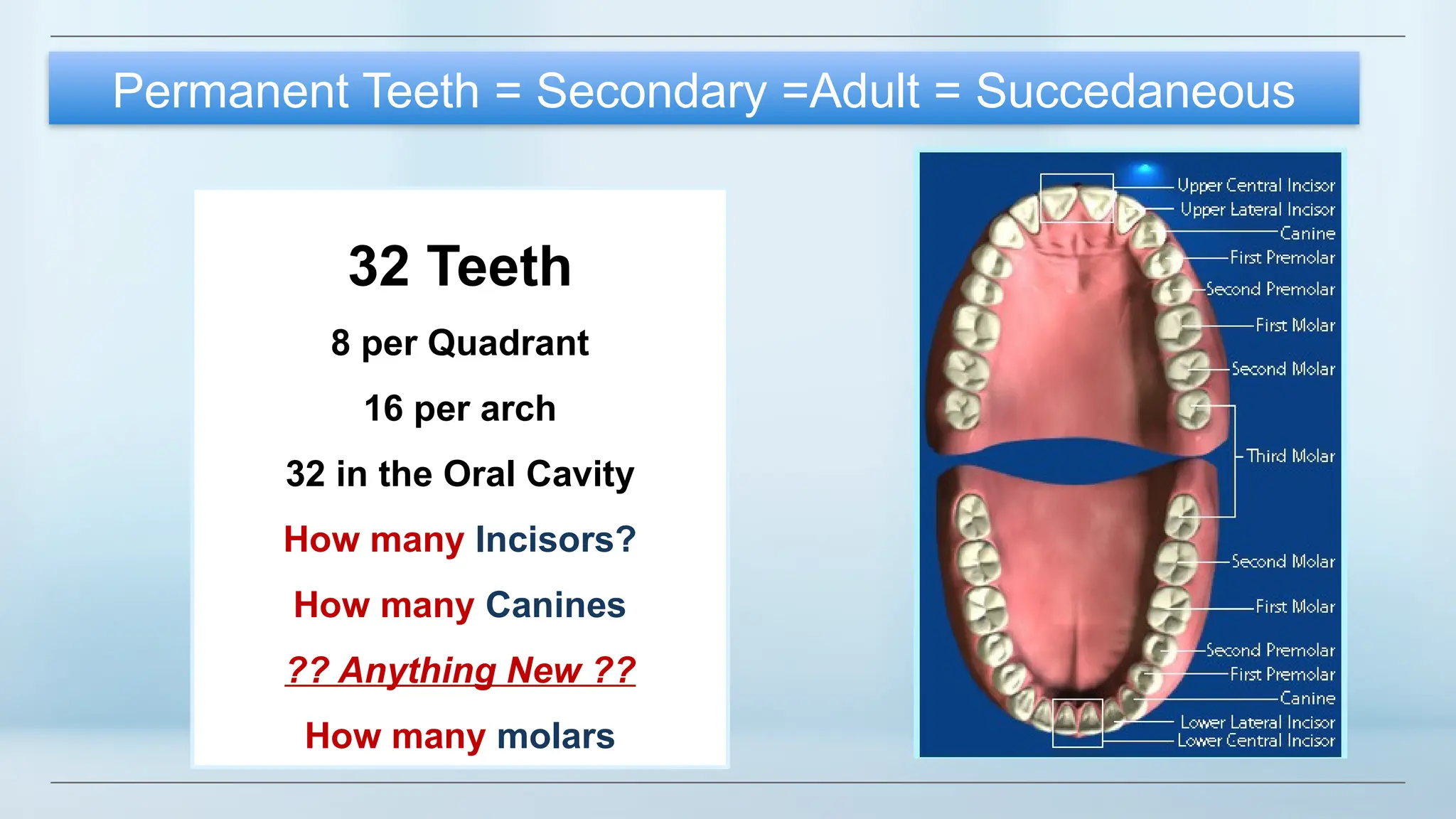 E-Introduction To Dental Anatomy-Part 1 (1).pptx