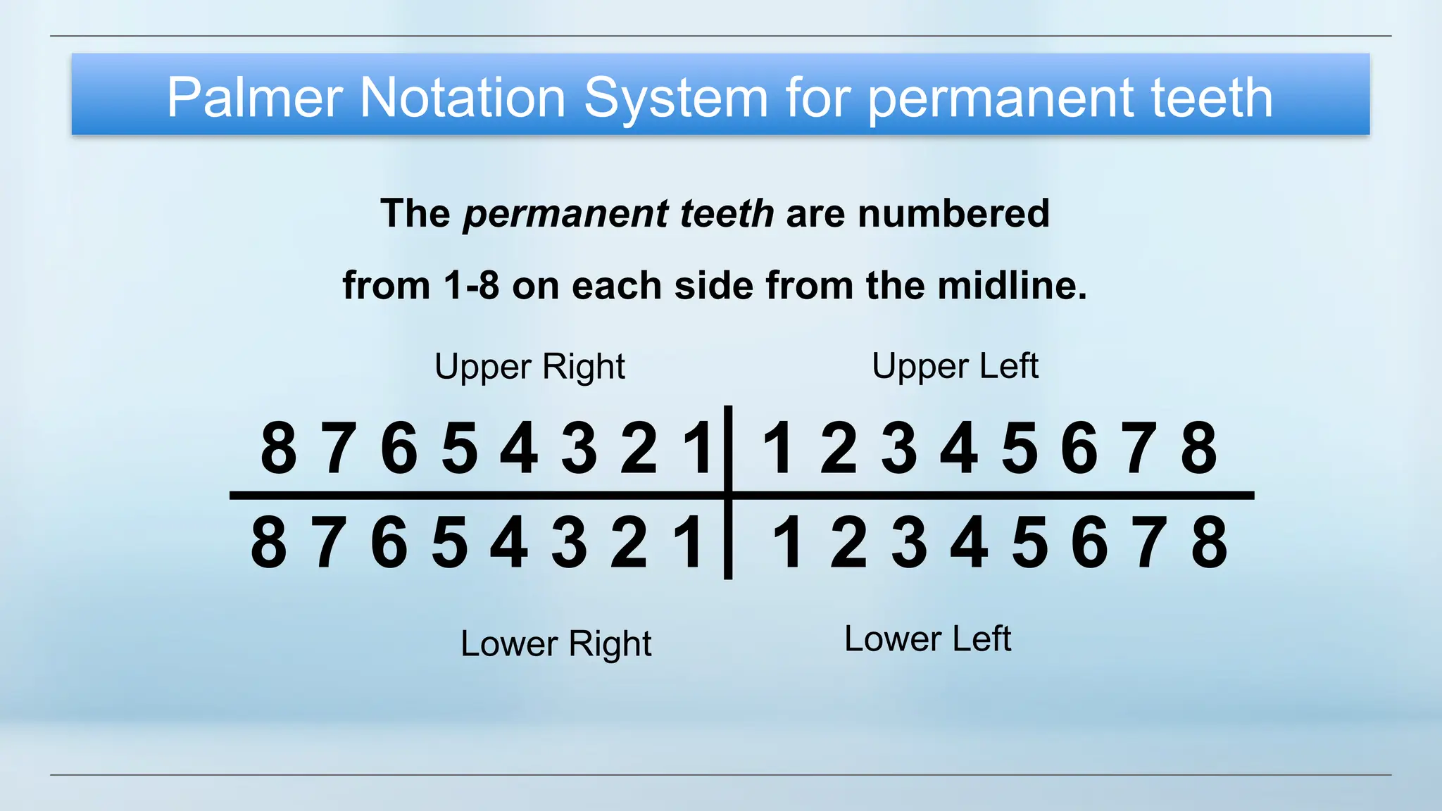 E-Introduction To Dental Anatomy-Part 1 (1).pptx