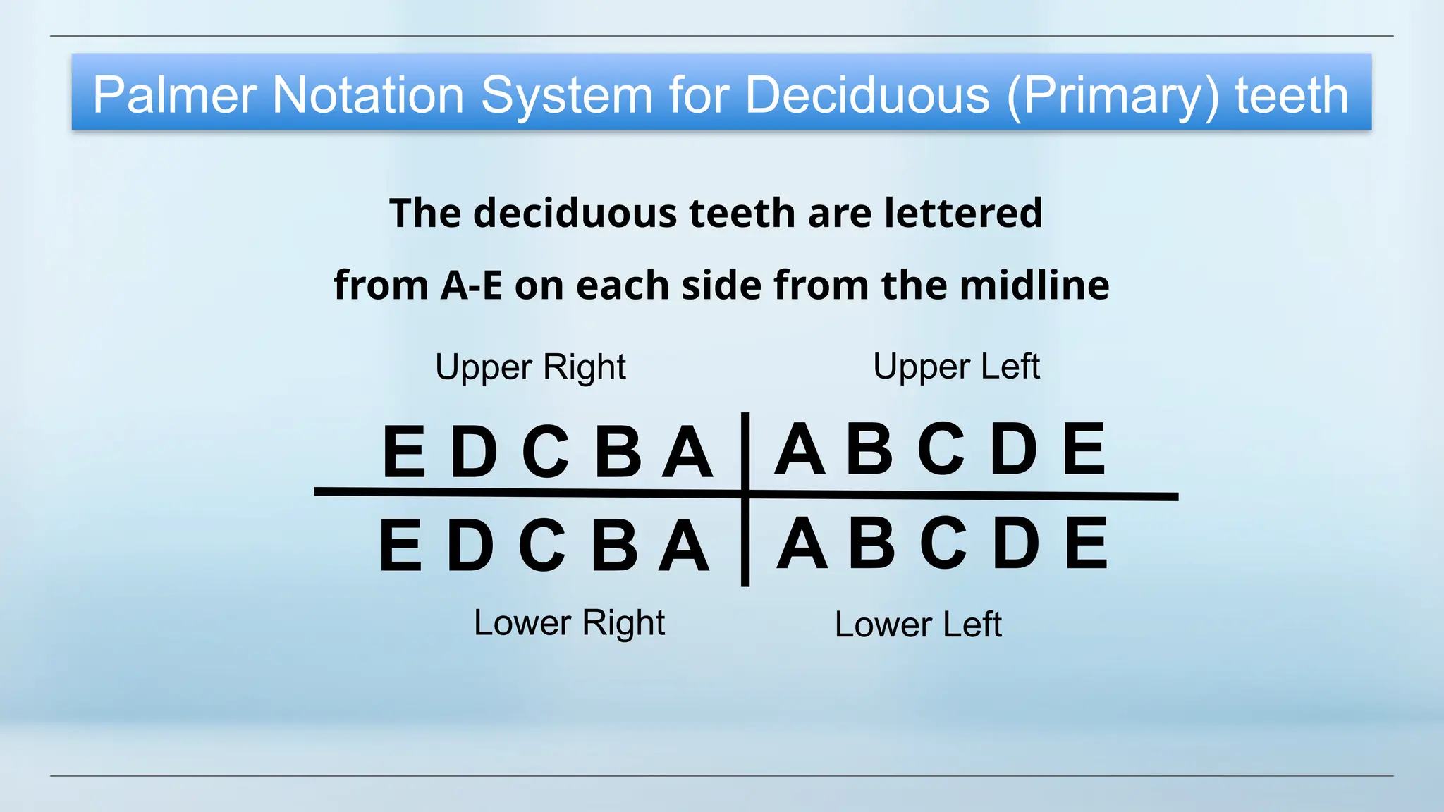 E-Introduction To Dental Anatomy-Part 1 (1).pptx