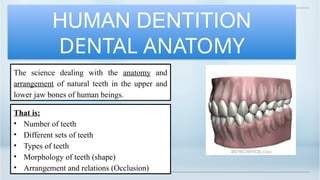 E-Introduction To Dental Anatomy-Part 1 (1).pptx