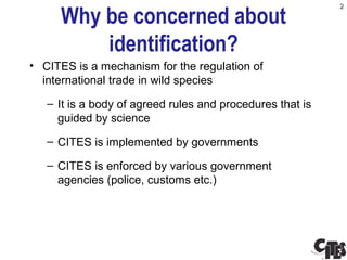 E introduction to identification of CITES species | PPT