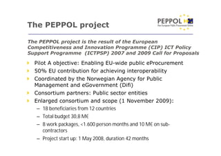 E invoicing, peppol – addressing the interoperability of e-invoicing | PDF