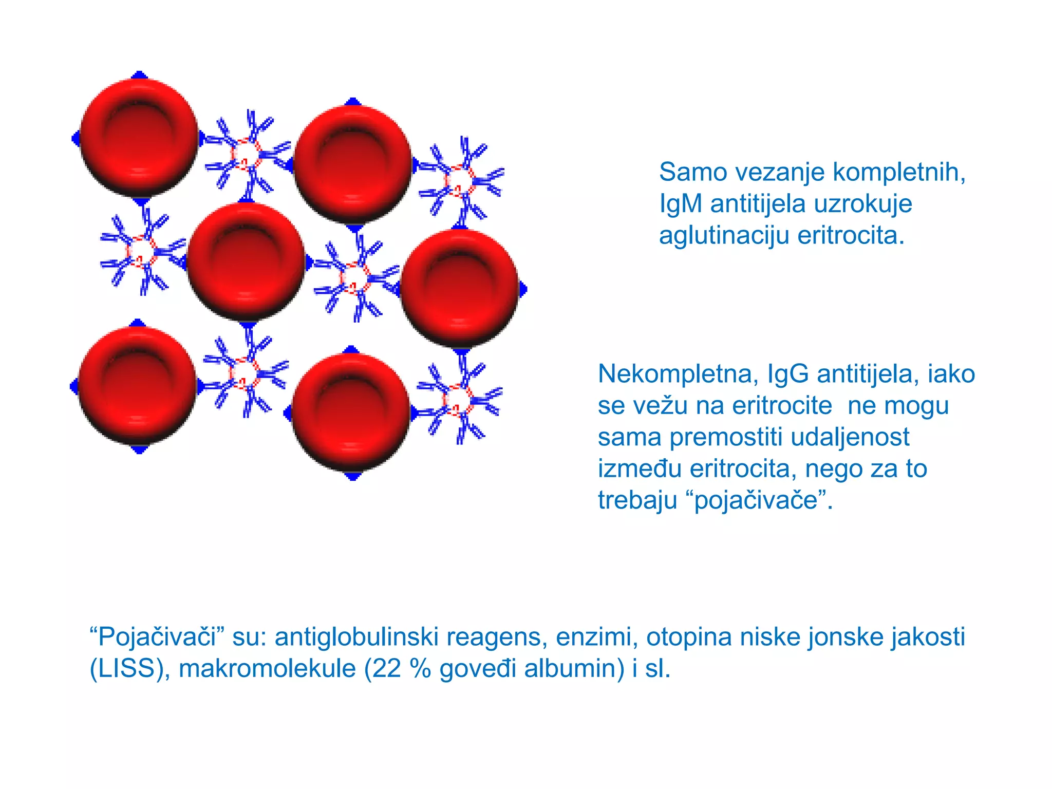 Transfuzijska medicina - online tečaj | PPT