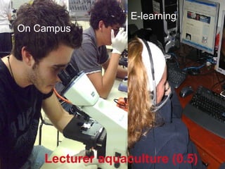 E Learning: Evolution (m-learning) | PPT