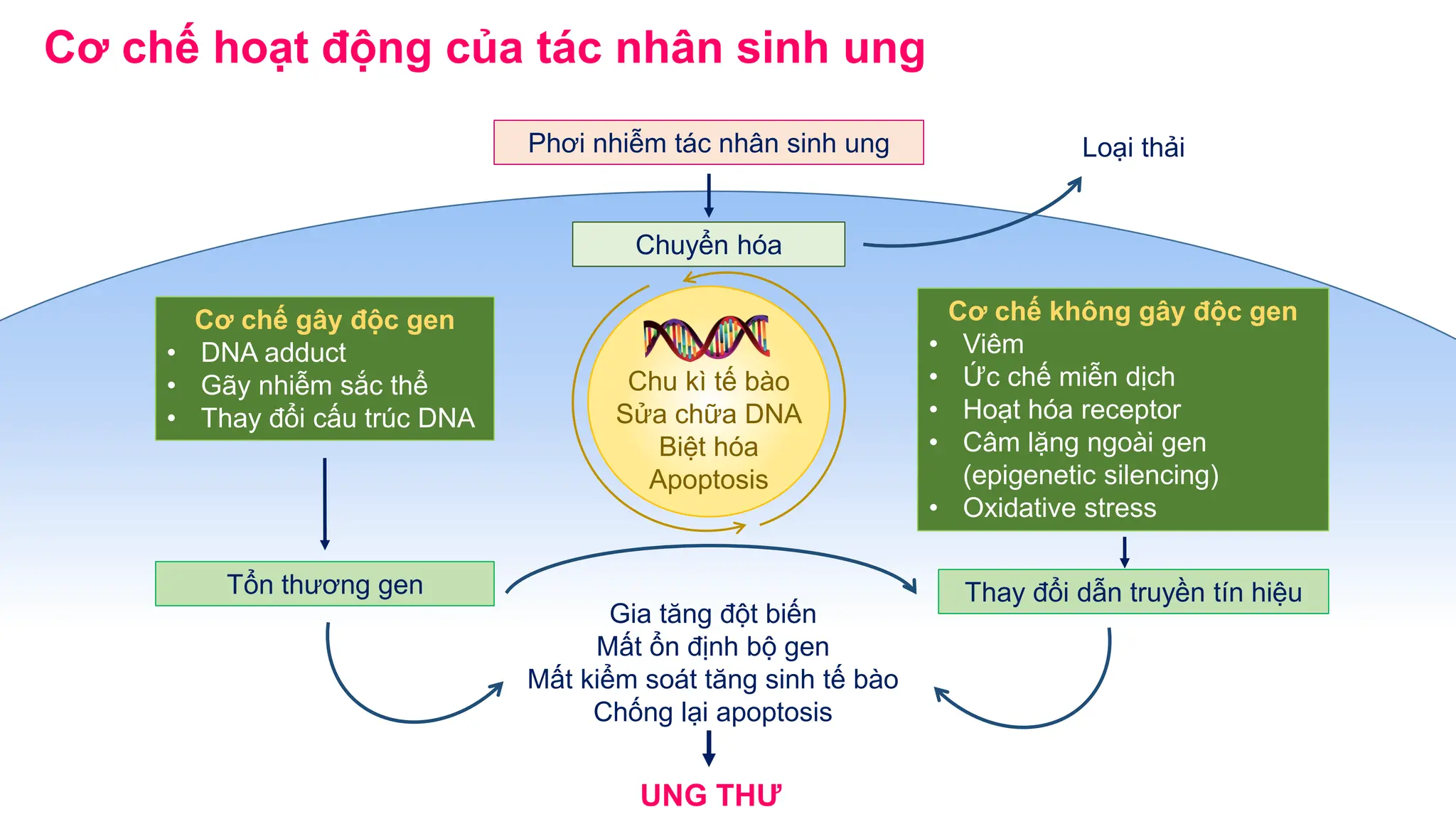 Idk why im even uploading this but tbh i dont really care | PDF