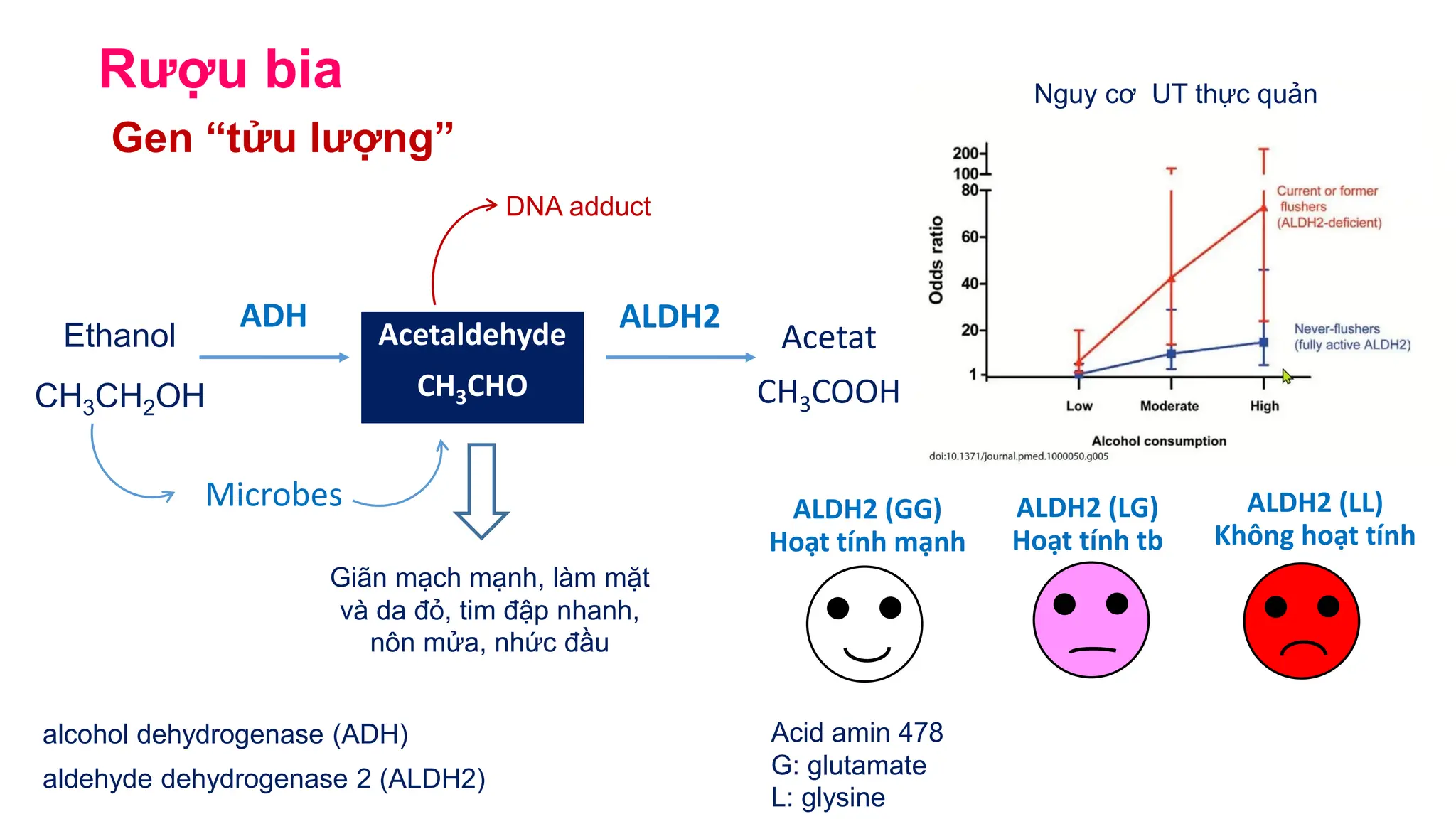 Idk why im even uploading this but tbh i dont really care | PDF