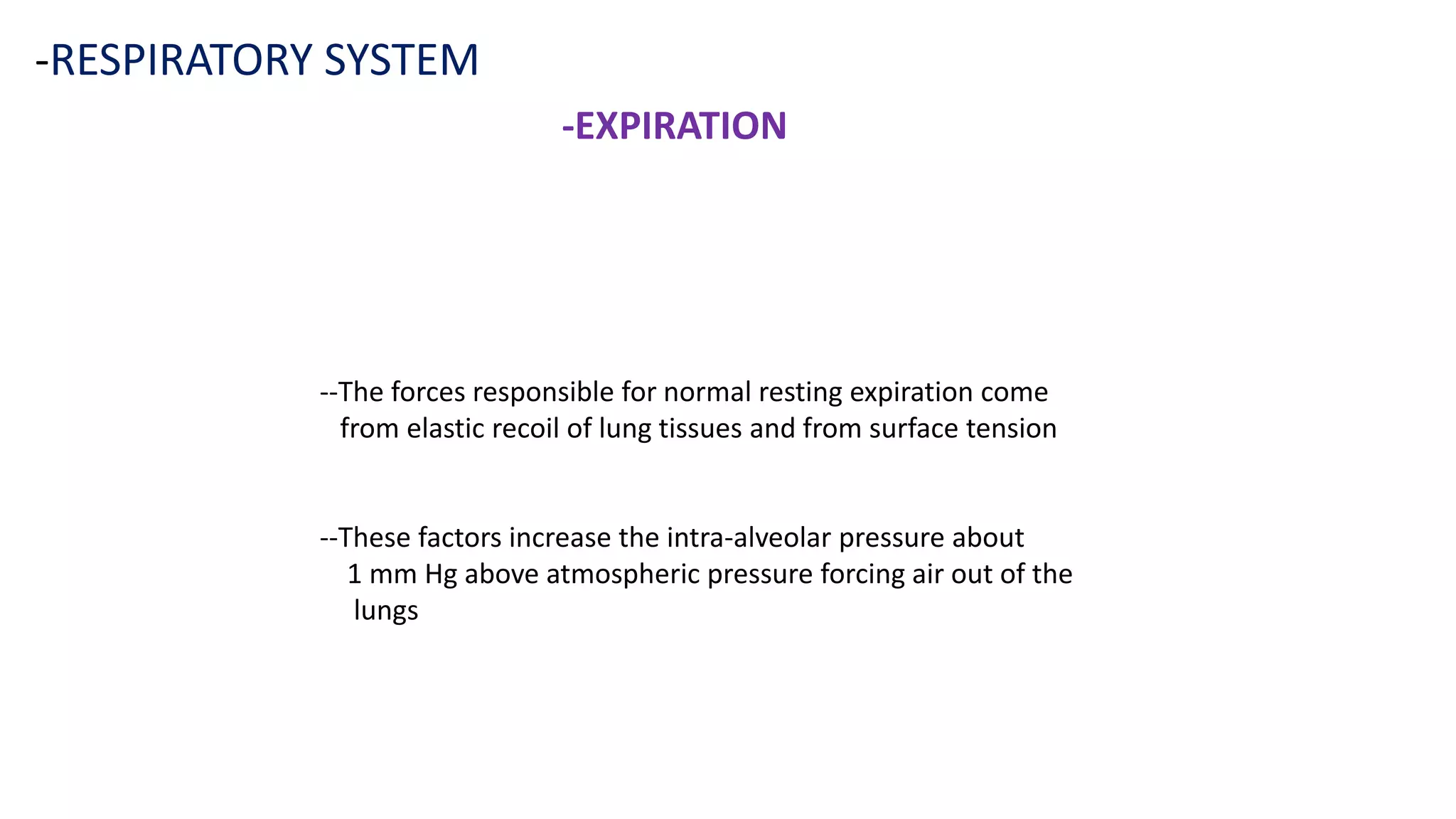 E lecture respiratory system | PPTX