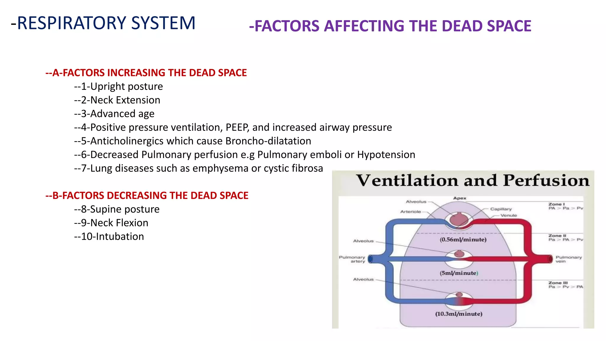 E lecture respiratory system | PPTX