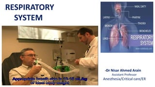 E lecture respiratory system | PPTX