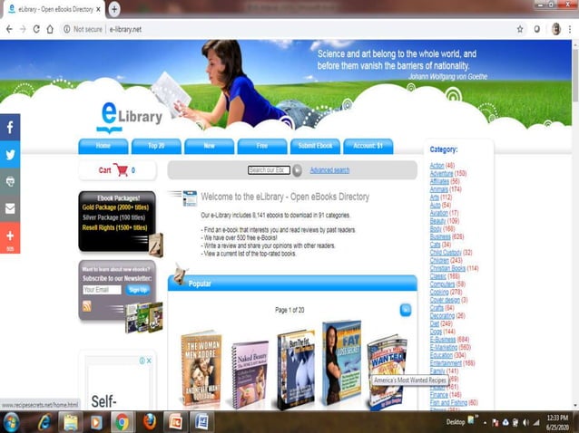 E library in the 21st century | PPTX