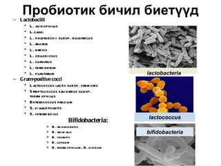 E m.sp713, lesson4 | PPT
