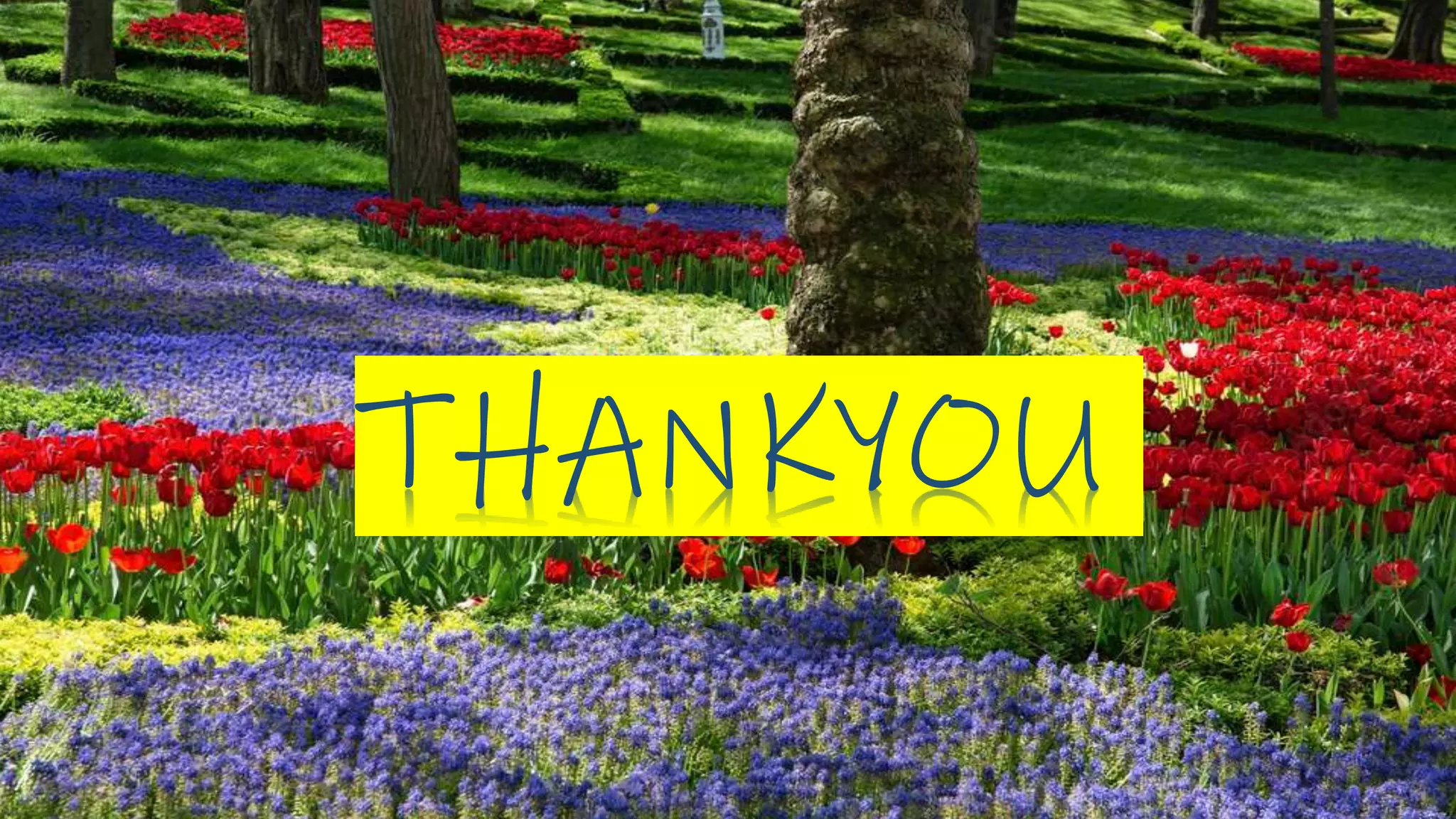 E-Marketing Strategies For Sale Of Flowers By Haroon Nazir.pptx