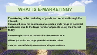 E-Marketing Strategies For Sale Of Flowers By Haroon Nazir.pptx