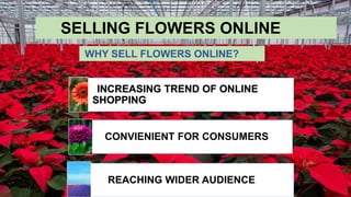 E-Marketing Strategies For Sale Of Flowers By Haroon Nazir.pptx